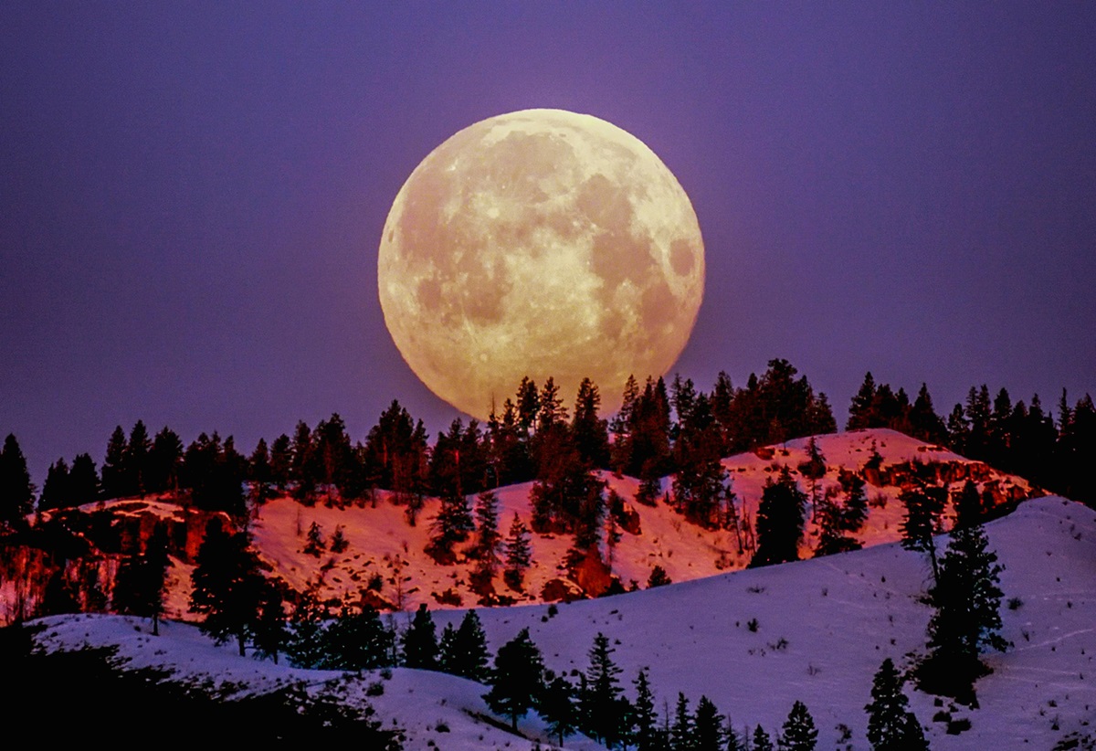 Por que a Lua Cheia de maio é muito especial | Personare